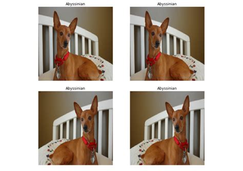 Practical Guide To Transfer Learning In Tensorflow For Multiclass Image