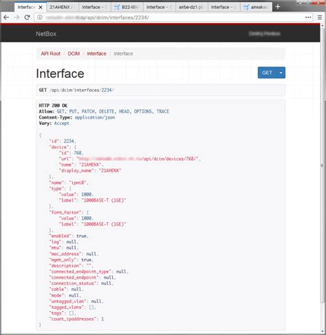 Impossibility Of Getting Info About Interface Object That S Hanged On VM Issue Netbox