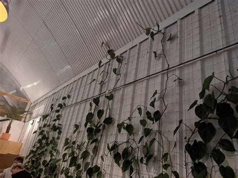 Wire Mesh Netting NEXT DAY DELIVERY Wire Fence