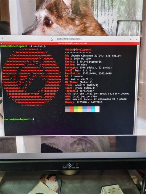Install Openspeedtest Server On Linux Snap Store Rubuntu