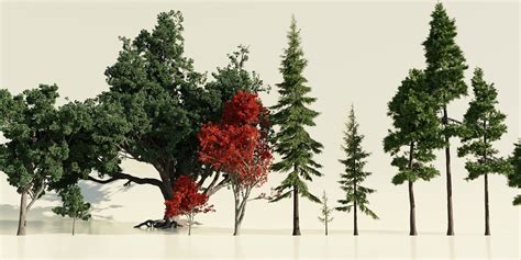 Forest Nodes Procedural Trees Using Geometry Nodes Finished