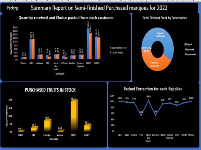 Excel Dashboard Excel Formula Pivot Tables And Charts And Power Query Upwork