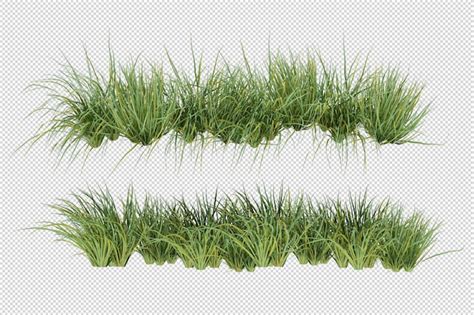 Premium Psd Tropical Trees And Flowers In 3d Rendering Isolated