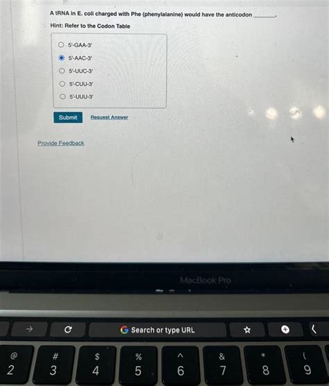 Solved A Trna In E Coli Charged With Phe Phenylalanine