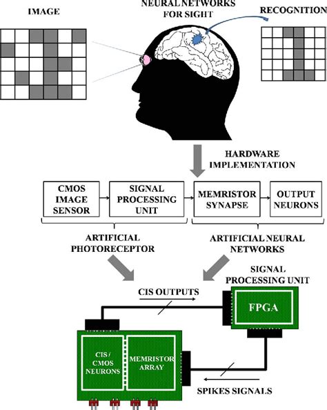 Figure 1 From Neuromorphic Hardware System For Visual Pattern