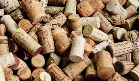 Learn About Wine Laithwaites Blog