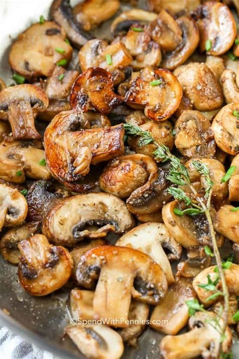 30 Of The Best Mushroom Recipe Ideas Grocycle