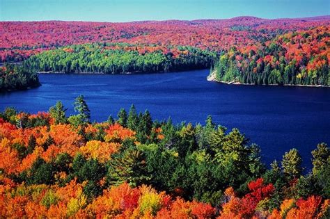 Some Of The Best Places To See Fall Colours In Muskoka