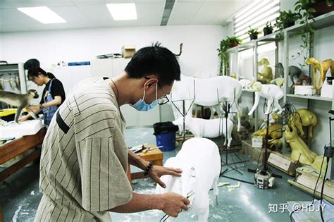 馆藏1000多种的标本博物馆是如何制作标本的？ 知乎