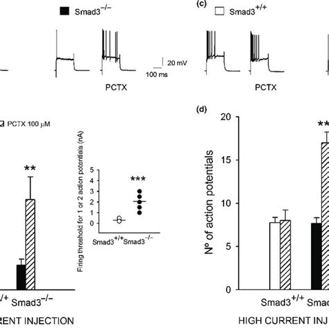 The Nmdar Subunits Glun2a Glun2b The Ampar Subunit Glua1 And The