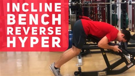 Reverse Hyperextension Alternative Without Machine Using 52 Off