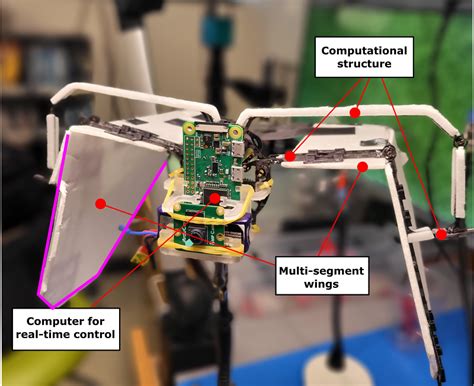 Modeling And Controls Of Fluid Structure Interactions Fsi In Dynamic Morphing Flight Ai