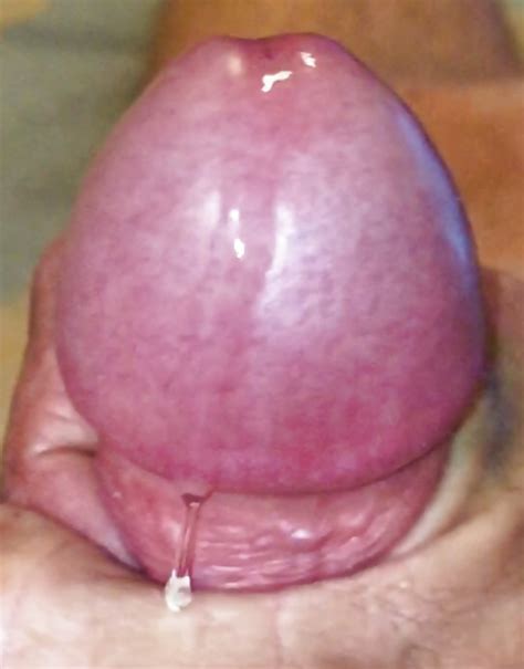 Precum Lick It Up 28 Pics Xhamster