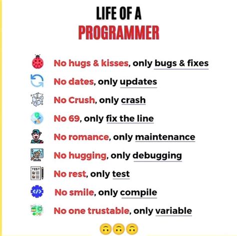 found this in the wild r programmerhumor