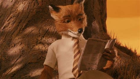Fantastic Mr Fox Wallpapers 33 Images Wallpapercat