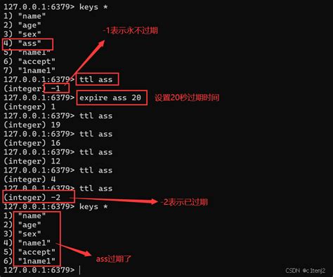 Redis基本数据类型和常见命令