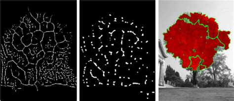 skeleton images and final segmentation left skeleton image of the