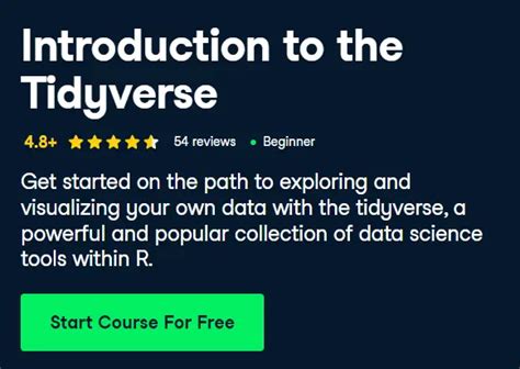 best datacamp courses 2025