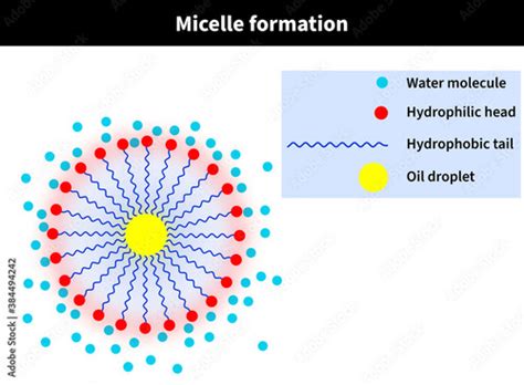 chemistry 12 hordyk class test questions 2023 flashcards quizlet