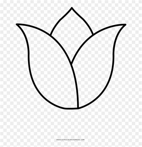 Desenhos De Flor De Tulipa Para Colorir