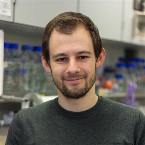 Stefan Dillinger Universität Regensburg Regensburg Ur Institute Of Biochemistry Genetics