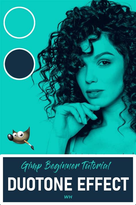 Gimp Beginner Tutorial Duotone Effect Gimp Tutorial Gimp Tutorial