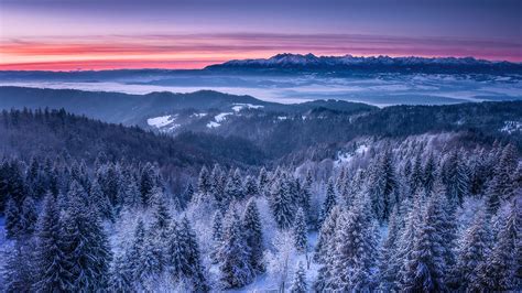 Snow Covered Mountain In Deep Forest Landscape View Hd Winter