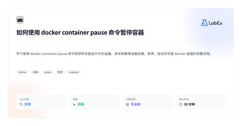 docker 容器暂停命令使用指南 如何暂停和恢复容器 labex