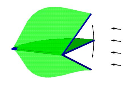 The Sketch For Simulations Of Three Dimensional Flexible Flapping Wings