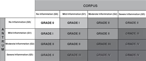 Figure 2 From Staging And Grading Of Chronic Gastritis Semantic Scholar
