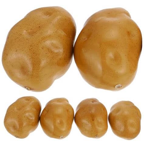 Anatomy And Role Of Potato Roots And Stems Are Potatoes Roots Or Stems