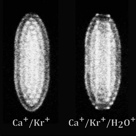 Coulomb Crystal Images At Different Times During A Charge Transfer