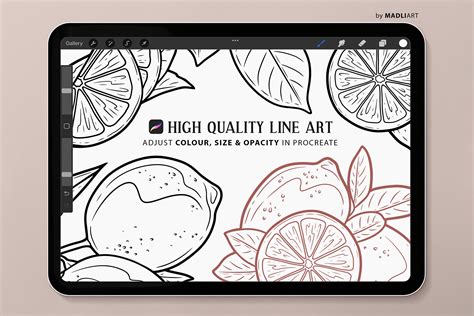 lemon procreate stamps citrus lime line art design cuts