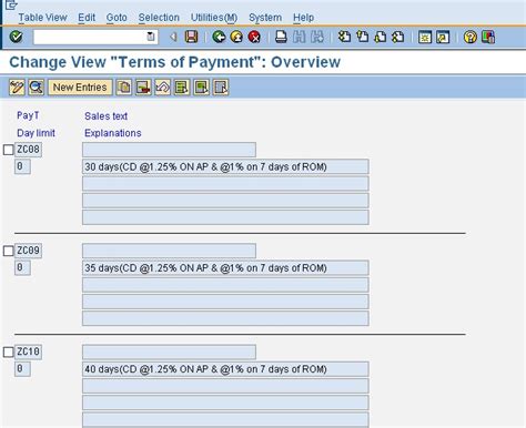 define payment terms in sap