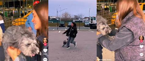 🎥ლიზა ყენიას ერთი წლის უნახავი ძაღლი ამერიკაში ჩაუყვანეს ემოციური კადრები აეროპორტიდან