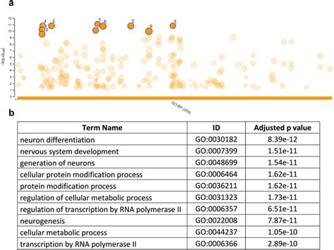 The 209 Enriched Biological Processes Controlled By Mir 548l From At