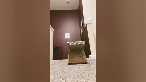 Therian Jumping Youtube