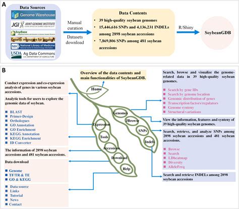 Soybeangdb A Comprehensive Genomic And Bioinformatic Platform For Soybean Genetics And Genomics