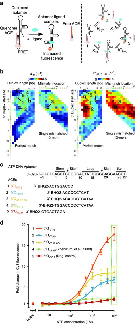 Validation Of Ace Scan With A Fret Based Solution Phase Assay Five Atp Download Scientific