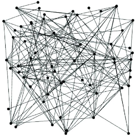 The Original Network Of The Dolphin Social Network Download