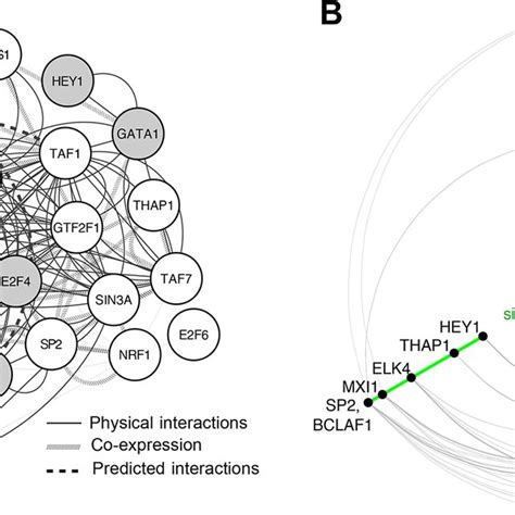 interaction network of tfs and cofactors identified by overlap analysis