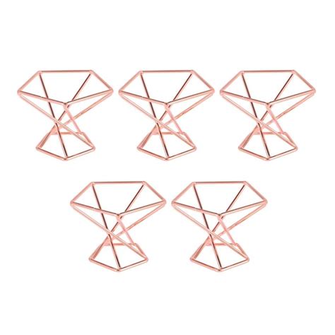 Lot De 5 Supports Pour Plantes à Air Supports Pour Plantes à Air Tillandsias Présentoir Pour