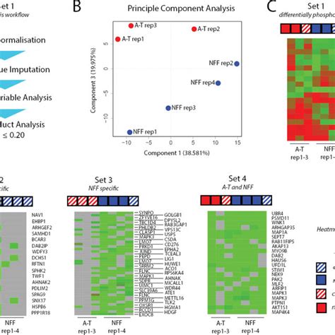 Phosphoproteomics Workflow And Identified Phosphopeptides A Cultures