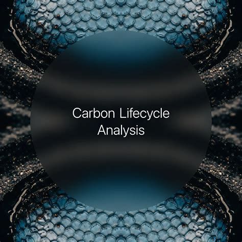 Carbon Lifecycle Analysis → Term