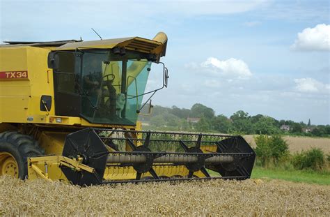 무료 이미지 들 농장 개 아스팔트 여름 수송 농업 차량 수확고 흙 불도저 수확기 콤바인 건설 장비