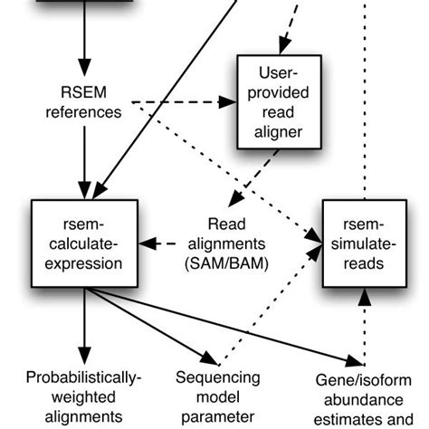 The Rsem Software Workflow The Standard Rsem Workflow Indicated By Download Scientific