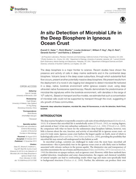 Pdf In Situ Detection Of Microbial Life In The Deep Biosphere In Igneous Ocean Crust