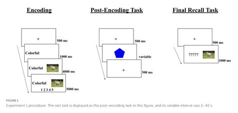 figure 1 from the effects of wakeful rest on memory consolidation in an
