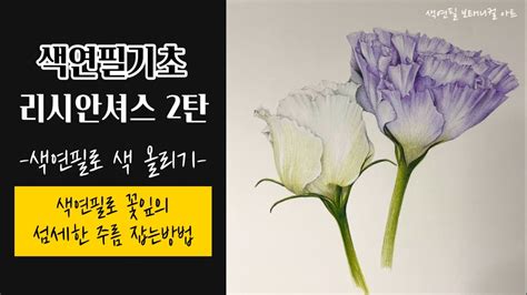 색연필기초리시안셔스2탄꽃잎의 섬세한 주름 색연필로 쉽게 잡는 방법색연필 보태니컬아트 기초colored Pencils Botanical Art Youtube
