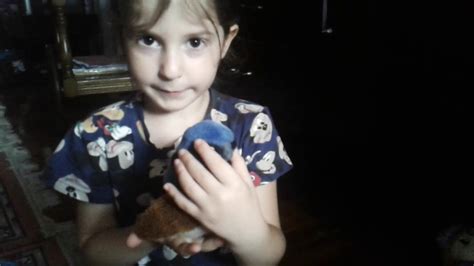 თოჯინების კოლექცია Youtube